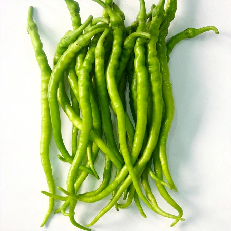 Green Pepper (Tatli Kil Biber) — Mahalle Dubai